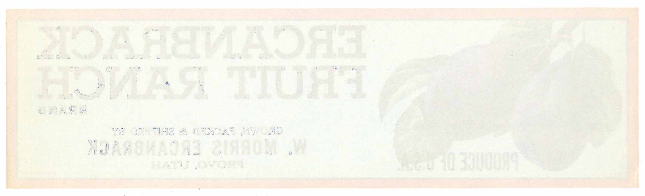Ercanbrack Fruit Ranch Brand Vintage Provo Utah Plum Crate Label ...