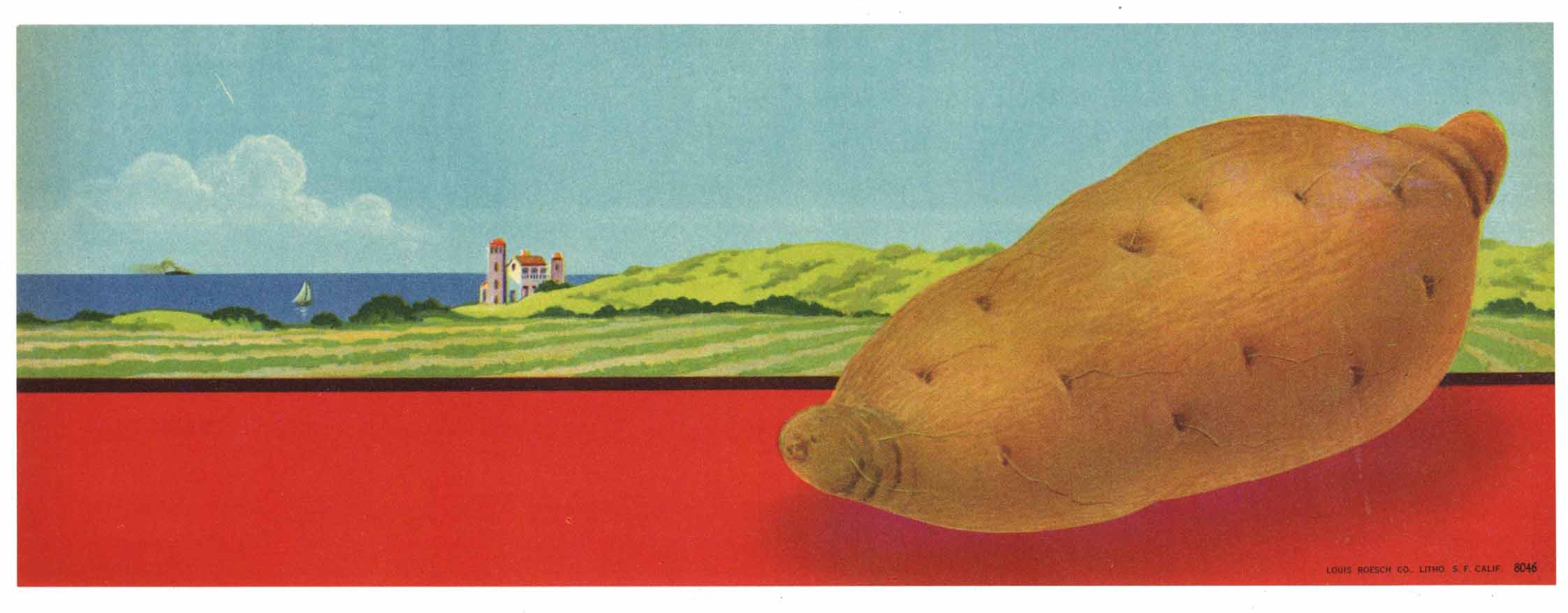 Stock #8046 Vintage Yam Crate Label – thelabelman