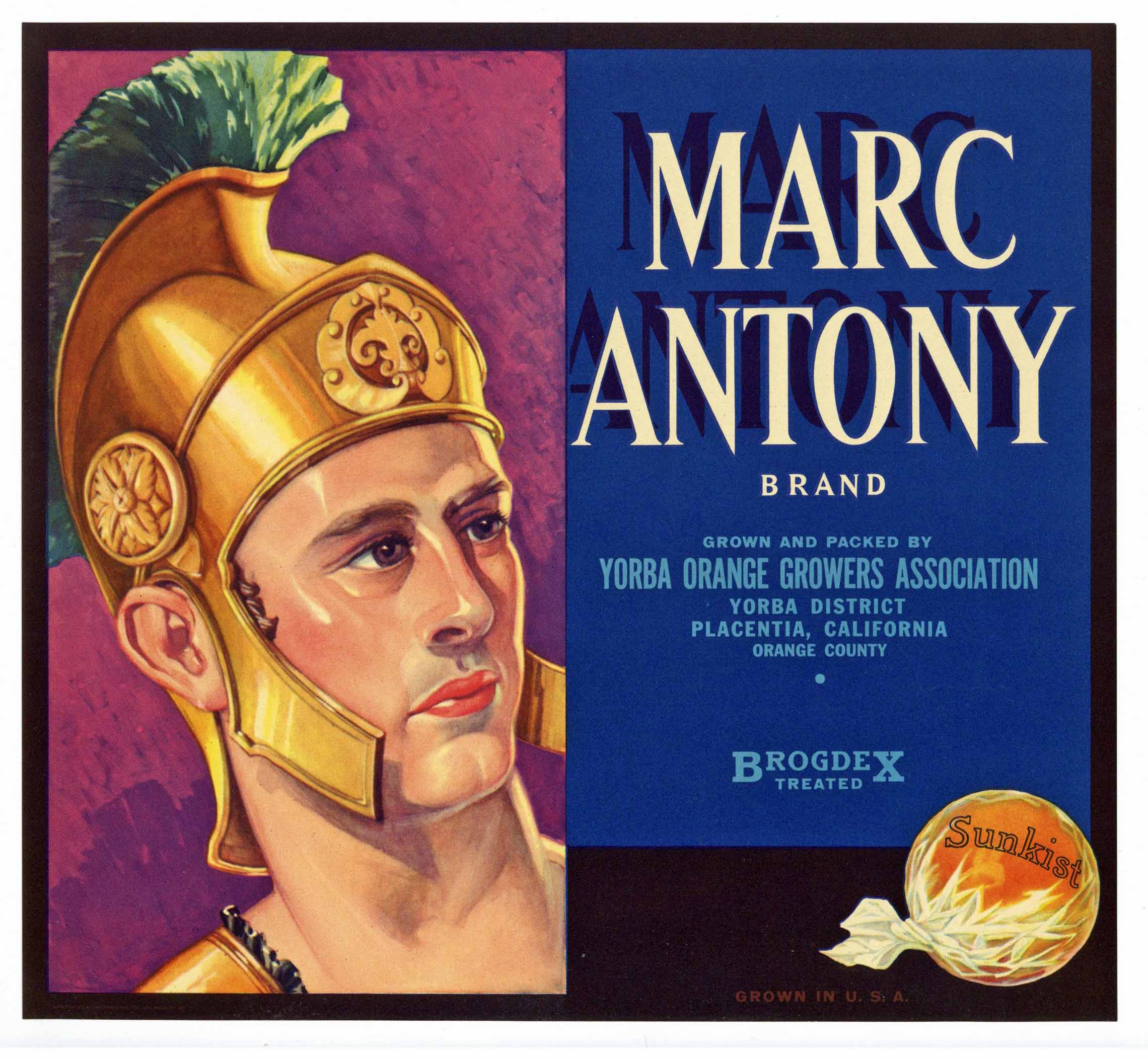 Marc Antony Brand Vintage Placentia Orange Crate Label – thelabelman