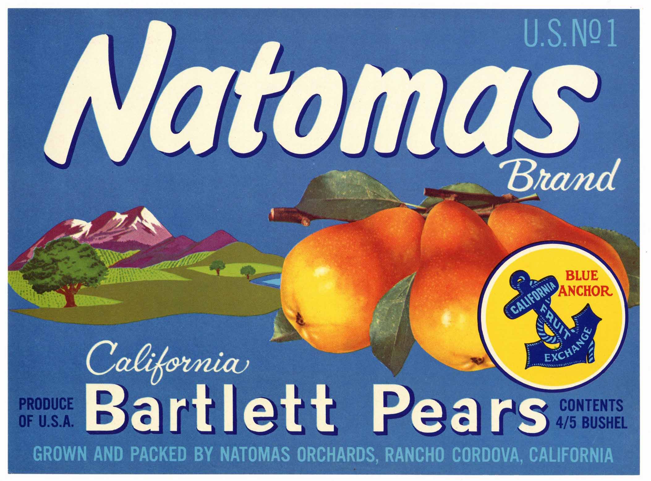 Natomas Brand Vintage Rancho Cordova Pear Crate Label – thelabelman