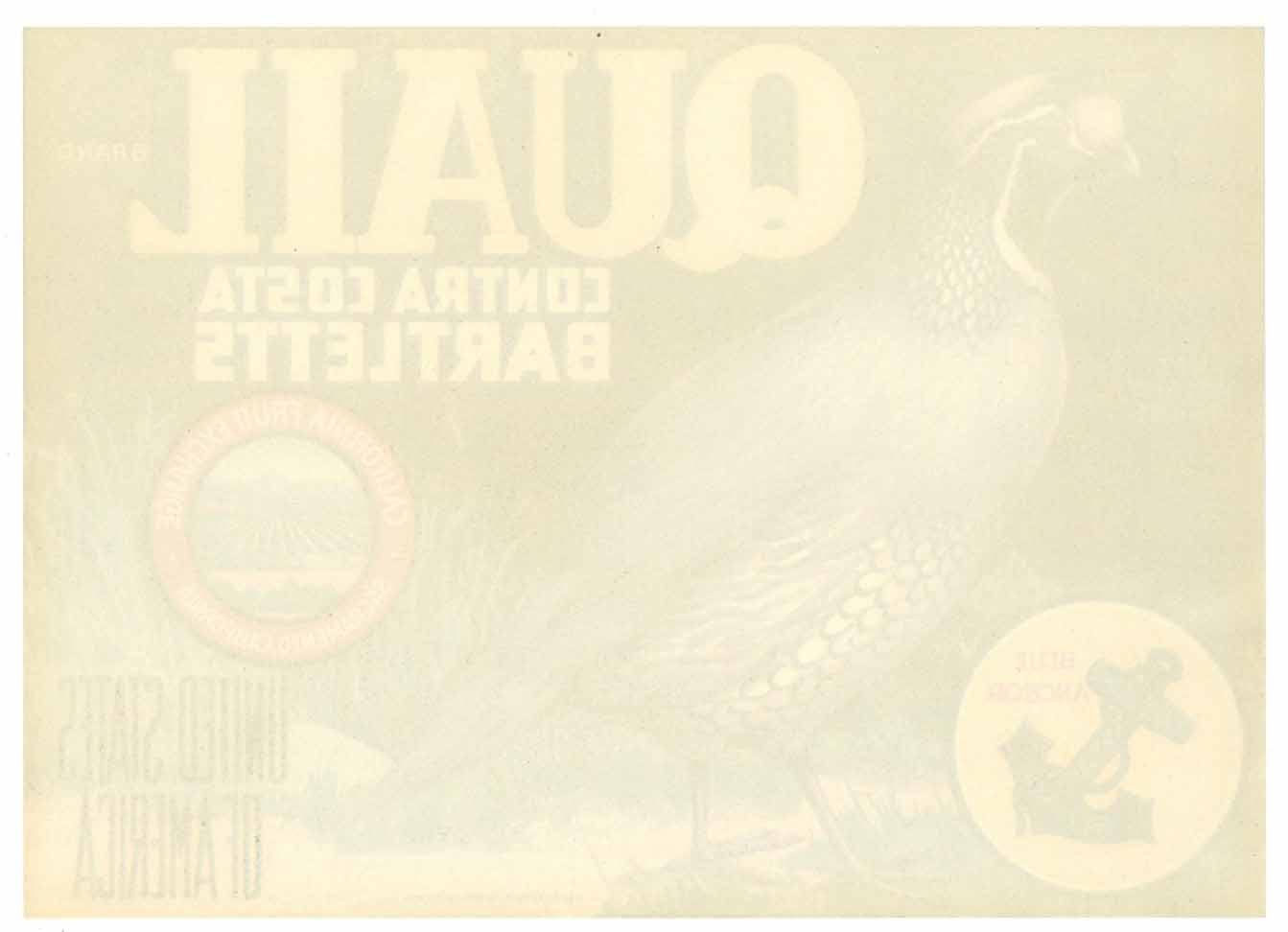 Quail Brand Vintage Contra Costa California Pear Crate Label – thelabelman