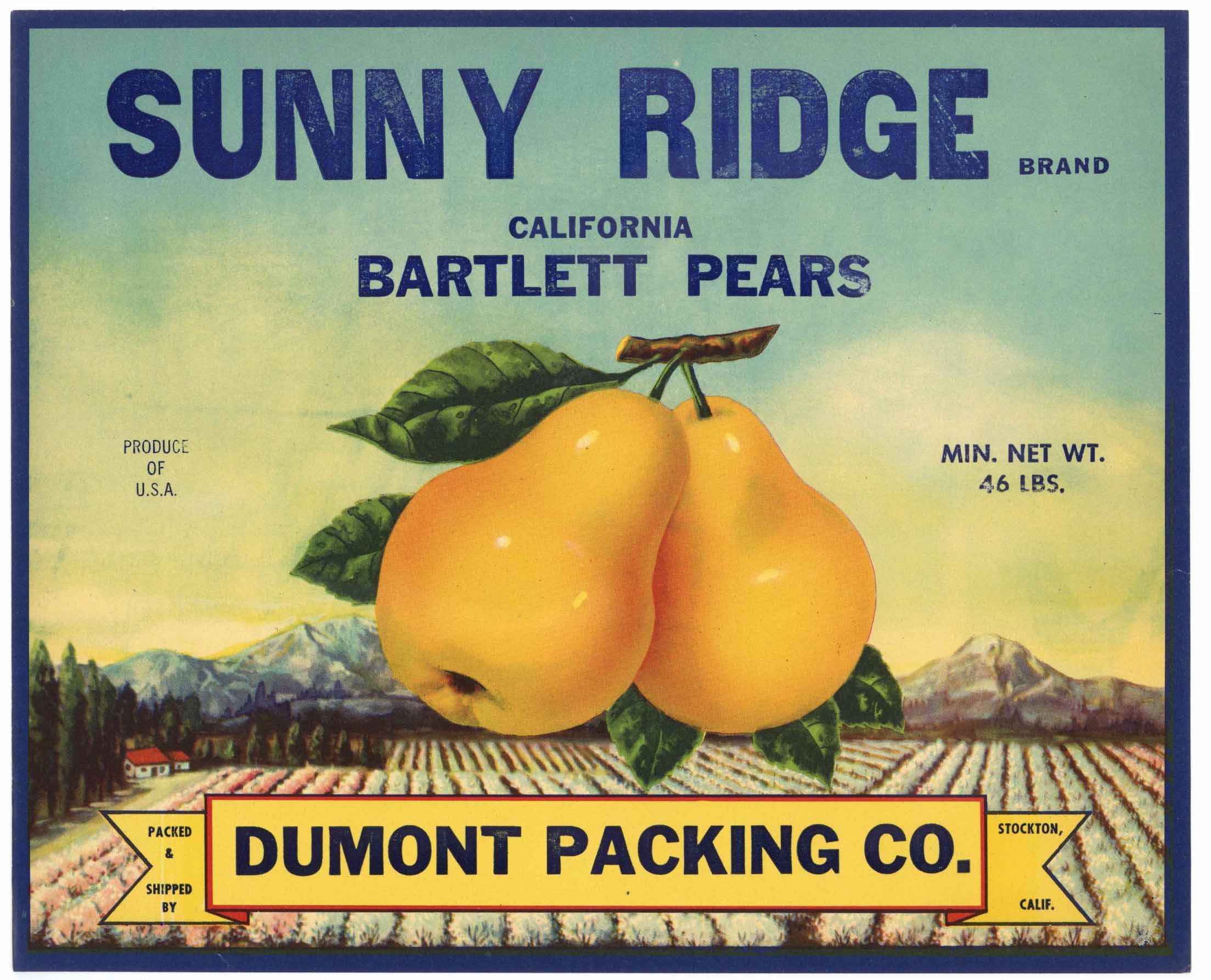 Sunny Ridge Brand Vintage Bartlett Pear Crate Label – thelabelman