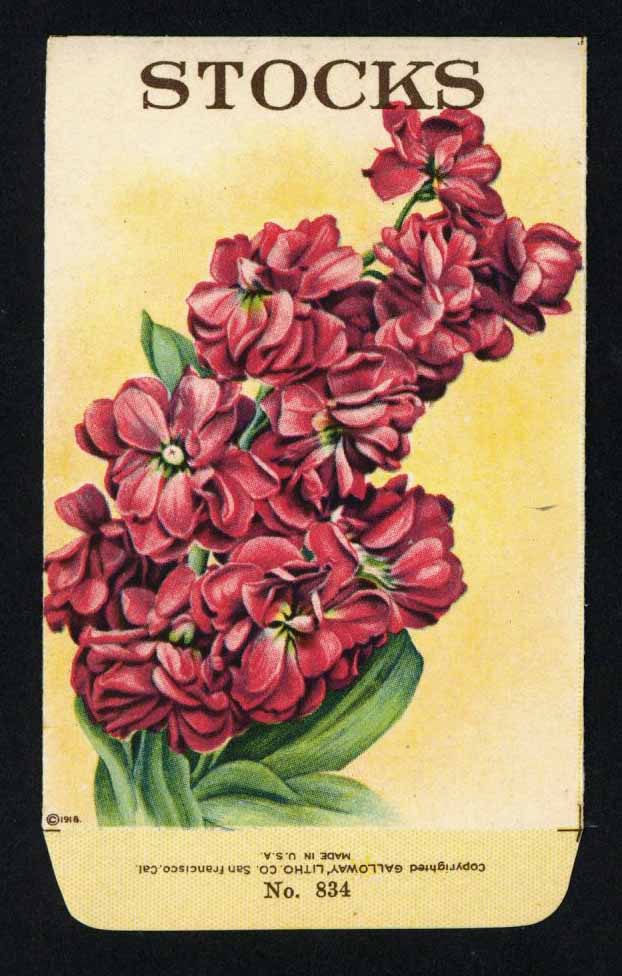 Stocks Antique Stock Seed Packet – thelabelman