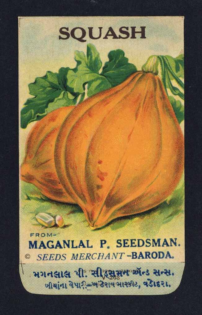 Squash Antique Maganlal Seed Packet, India, yellow – thelabelman