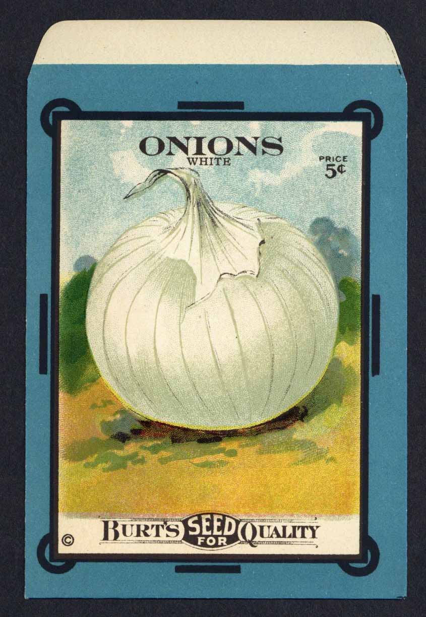 Onions Antique Burt's Seed Packet, White, L – thelabelman