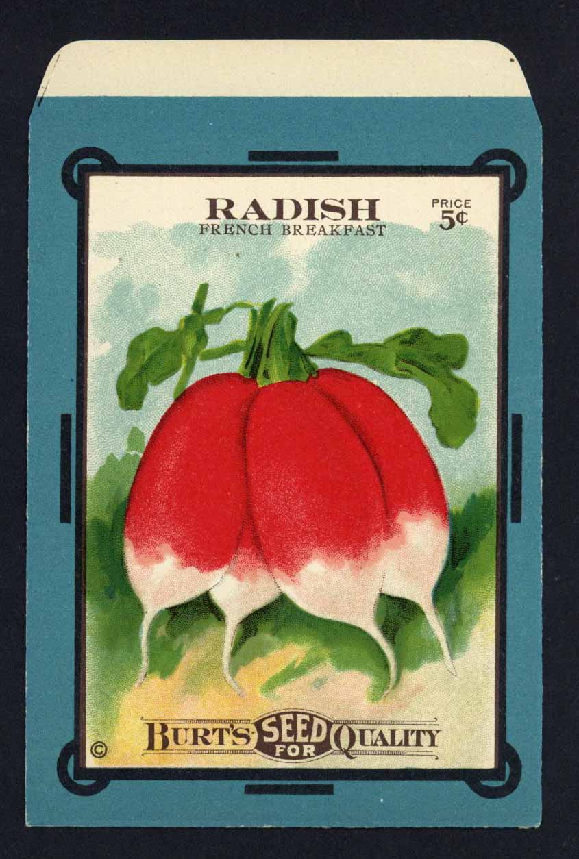 Radish Antique Burt's Seed Packet, French Breakfast – thelabelman