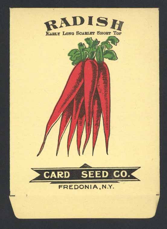 Radish Antique Card Seed Co. Packet, Long Scarlet – thelabelman