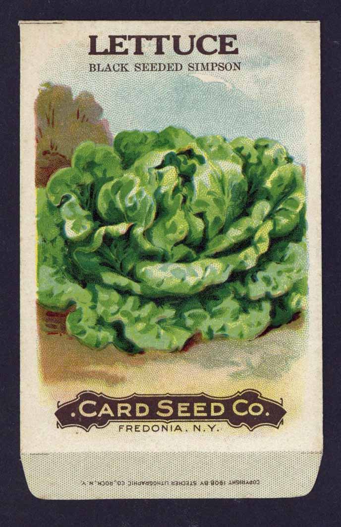 Lettuce Antique Card Seed Co. Packet, Black Seeded Simpson – thelabelman