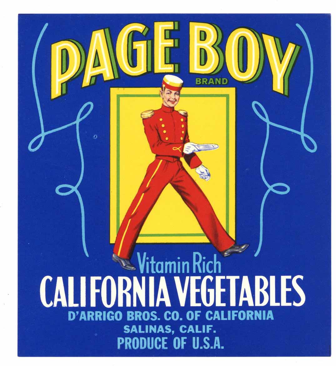 Page Boy Brand Vintage Salinas Vegetable Crate Label, s – thelabelman
