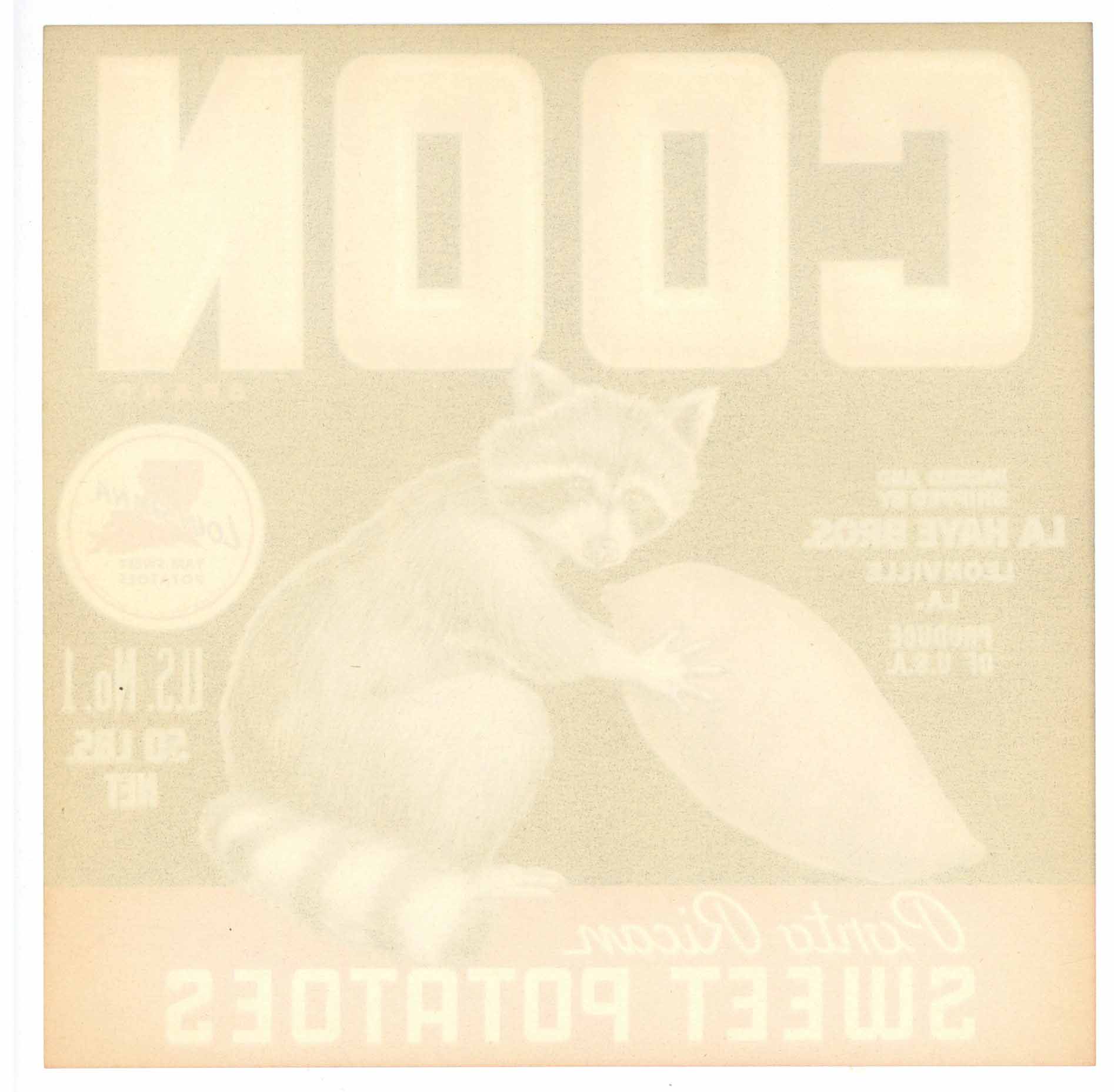Coon Brand Vintage Leonville Louisiana Yam Crate Label – thelabelman